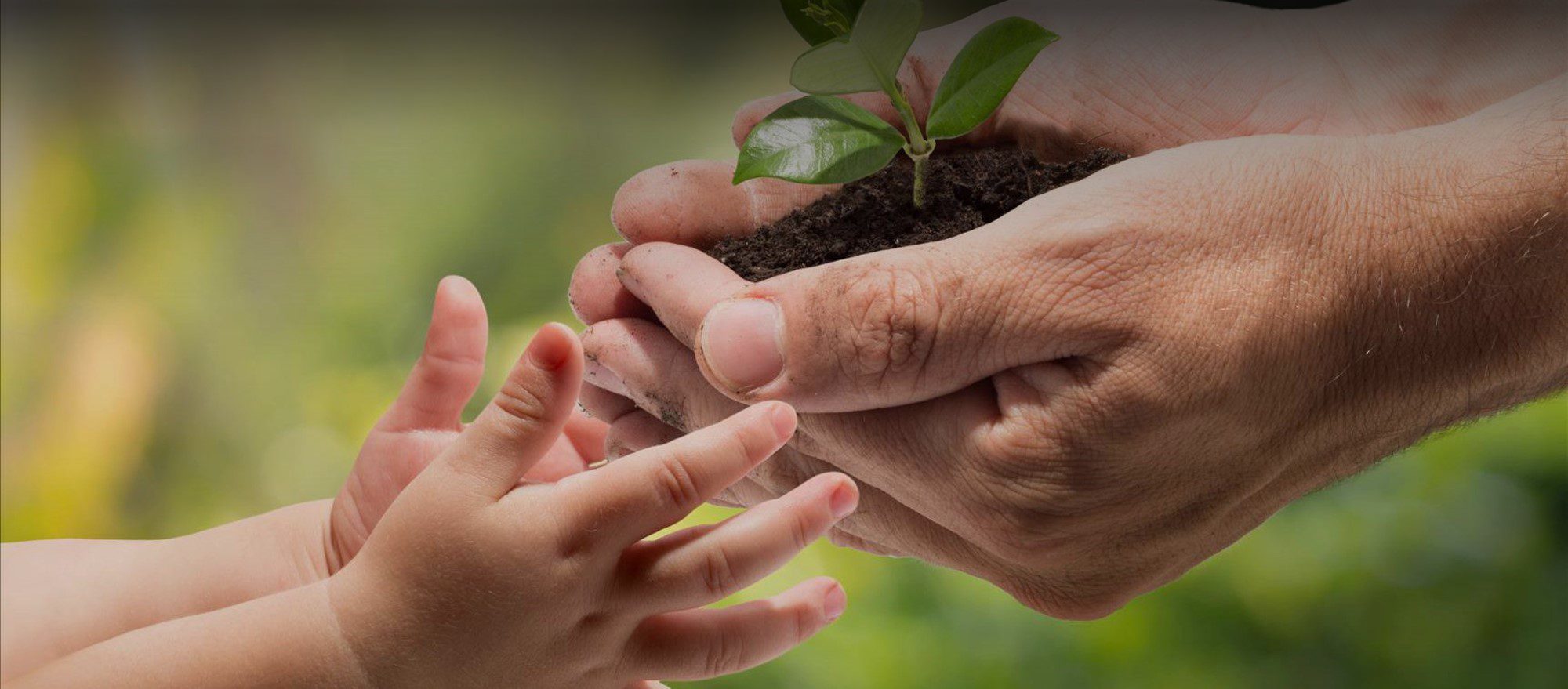Foundation Donors Provide Record Amount in Grants - Catholic Community ...